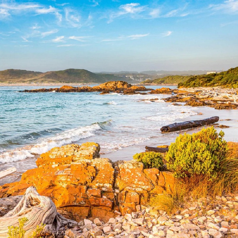 ARB Games :: Jigsaw Puzzles :: QPuzzles Made To Order :: Square Puzzles ...